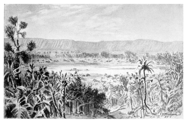 The Mysterious Disappearance of Percy Fawcett | Legends From History