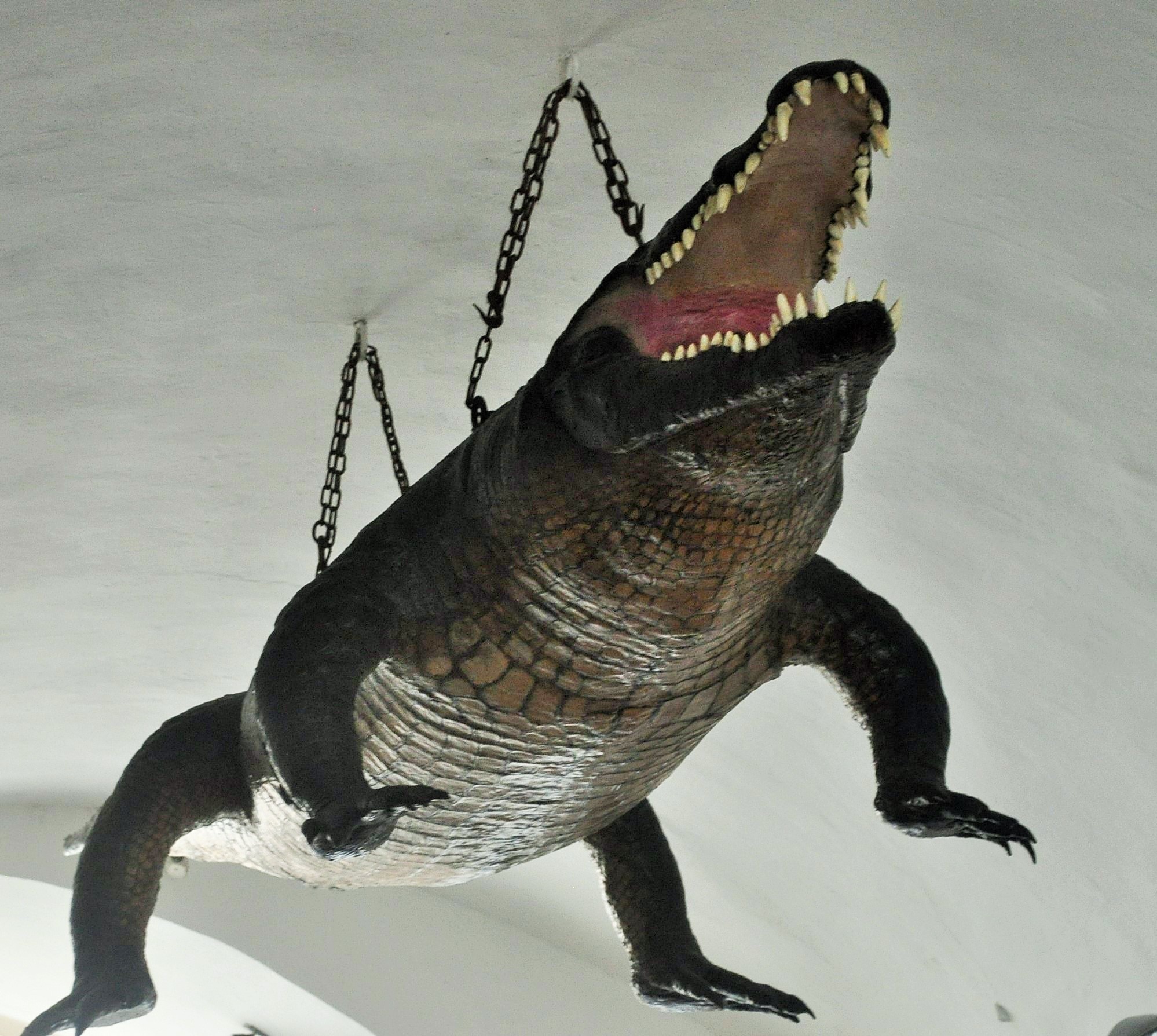 Why is There a Crocodile Hanging in this Church? | Legends From History